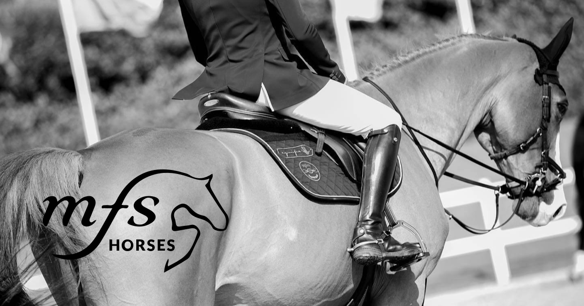 Facilities — Manuel Fernández Saro | MFS Horses